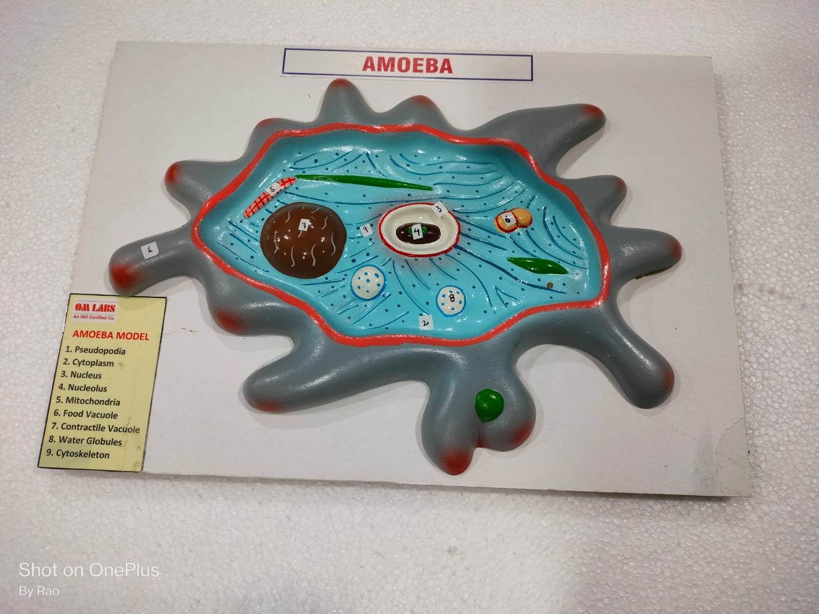Products – scientifickart